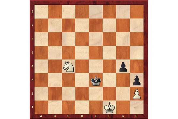 El caballo desbocado y el mate de Stamma | ChessBase